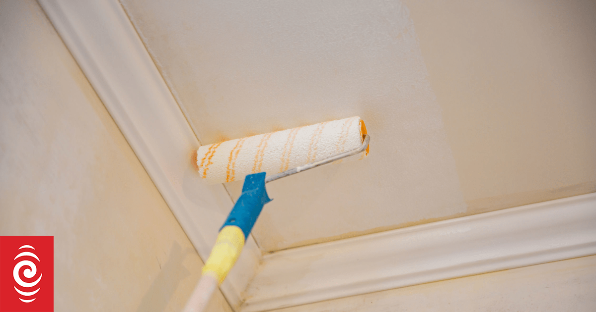 Expert Feature: interior design | RNZ