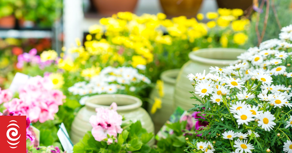Spring gardening with Tony Murrell and Fiona Eady | RNZ