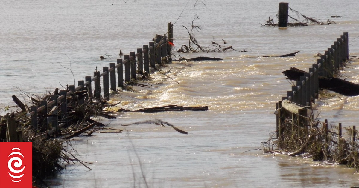 Task Force Green teams in Northland | RNZ News