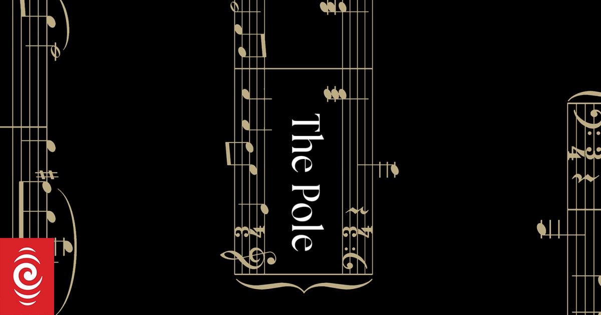 Book review: The Pole and Other Stories by J. M. Coetzee | RNZ