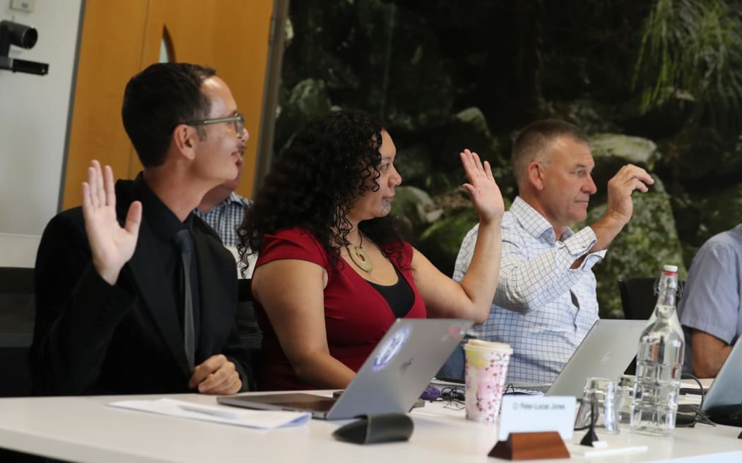 New Northland Regional Council chair Geoff Crawford elected at ...