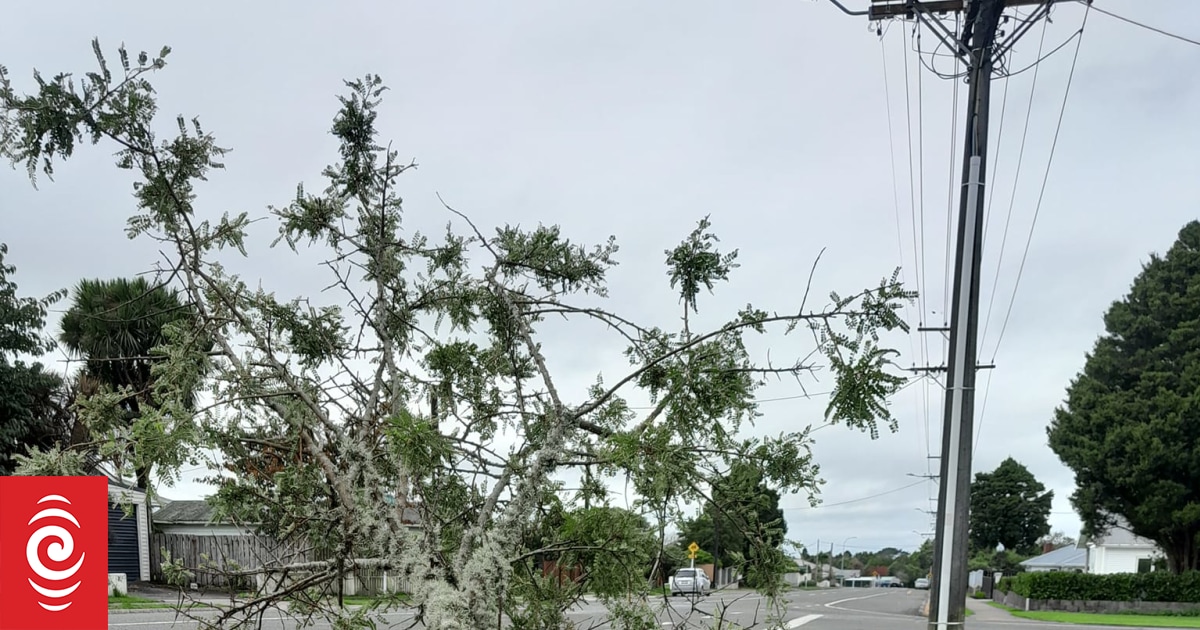 Rates protest turns violent as dead animal, chopped tree found | RNZ News