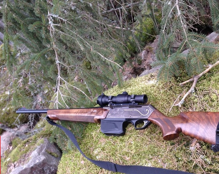 Rogue Defence Force guns | RNZ