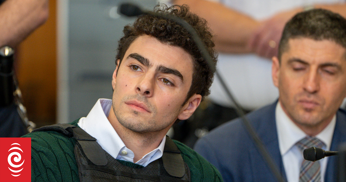 Luigi Mangione pleads not guilty as prosecutors seek death penalty | RNZ News