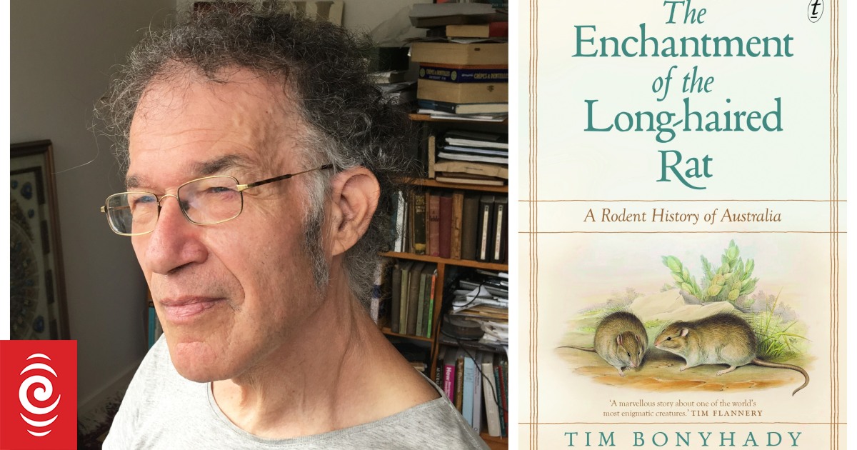 Rat's tale: The history of Australia's long-haired rodent | RNZ