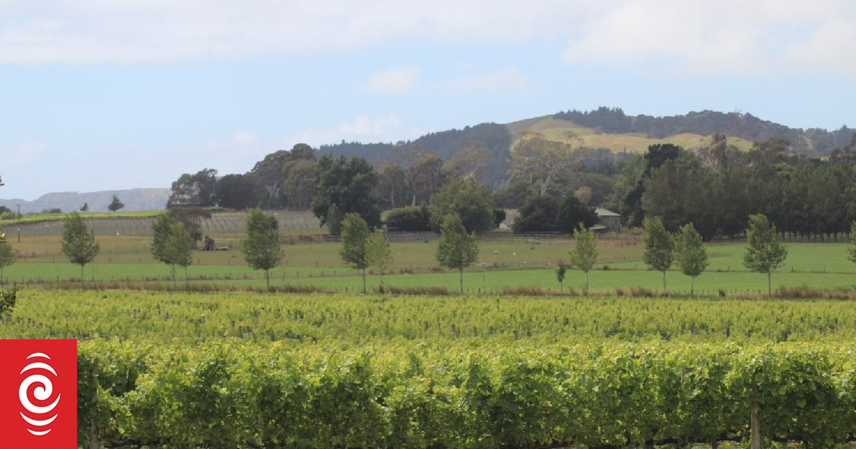 The Panel with Conor English and Sue Kedgley (Part 2) | RNZ