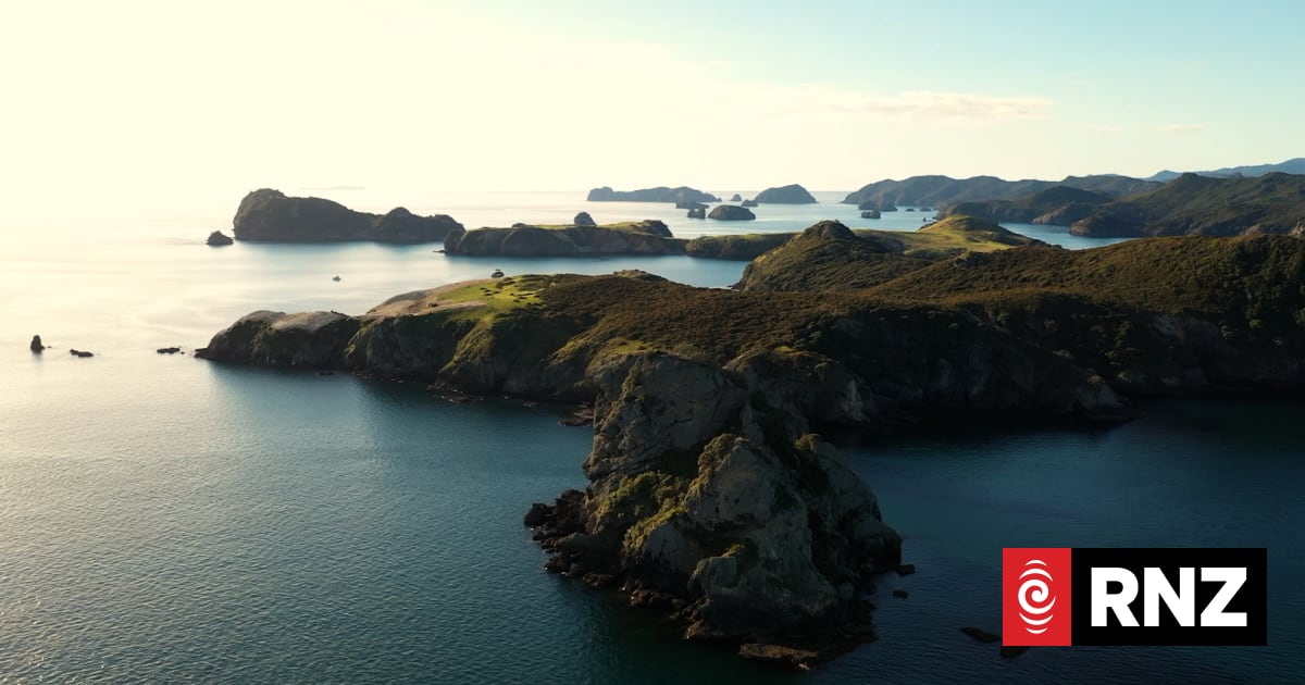 Environmentalist groups disappointed by lack of Hauraki Gulf trawling ...