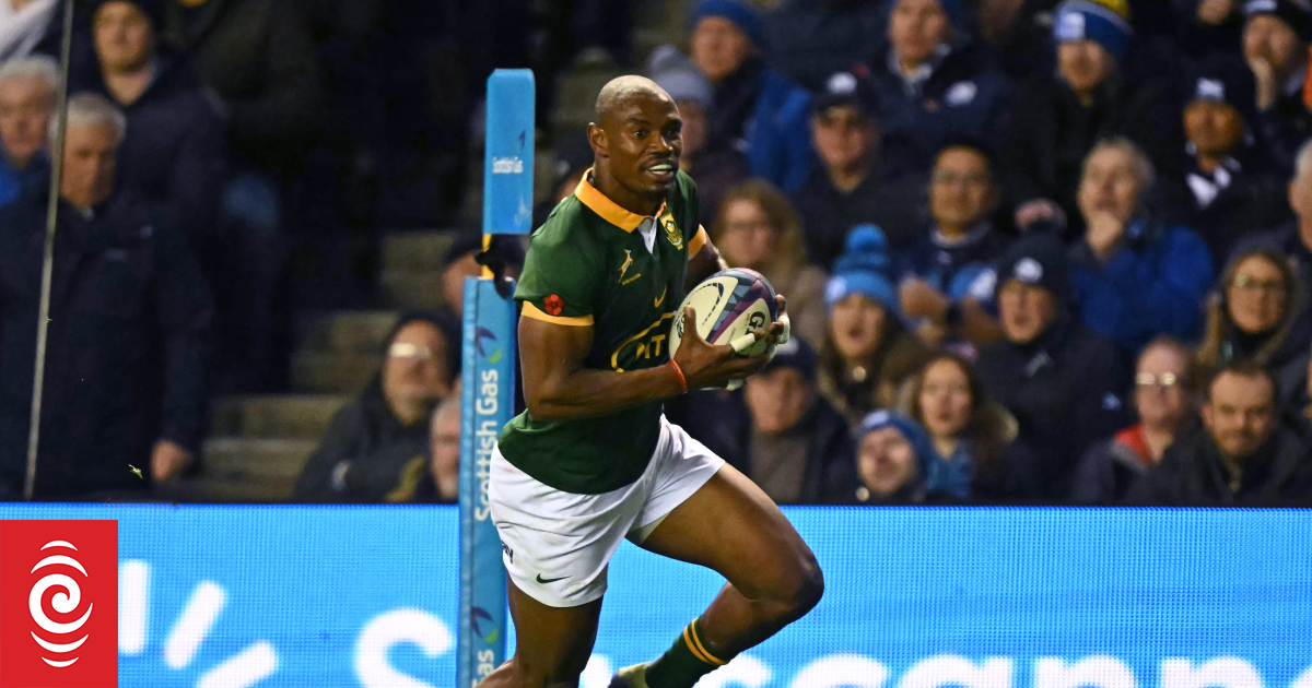 Scotland vs South Africa: Springboks regain world number one ranking ...