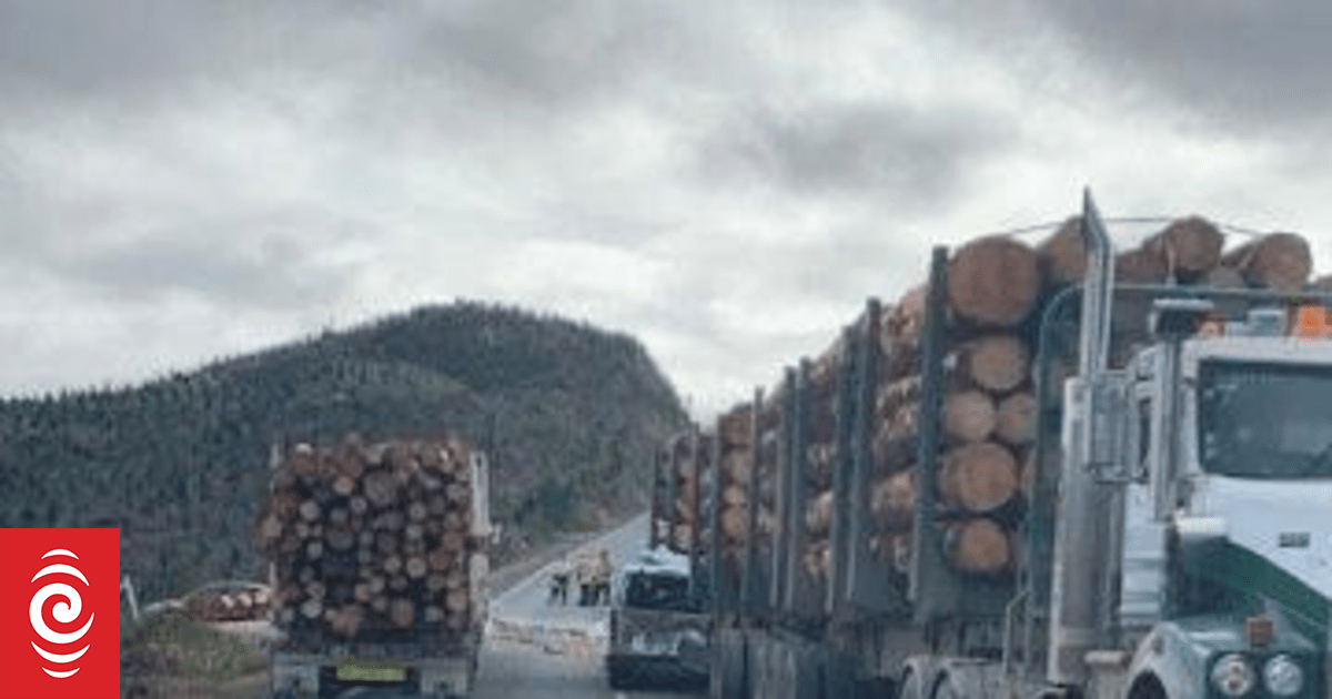 Coroner calls for WorkSafe probe into 'avoidable' deaths of forestry ...