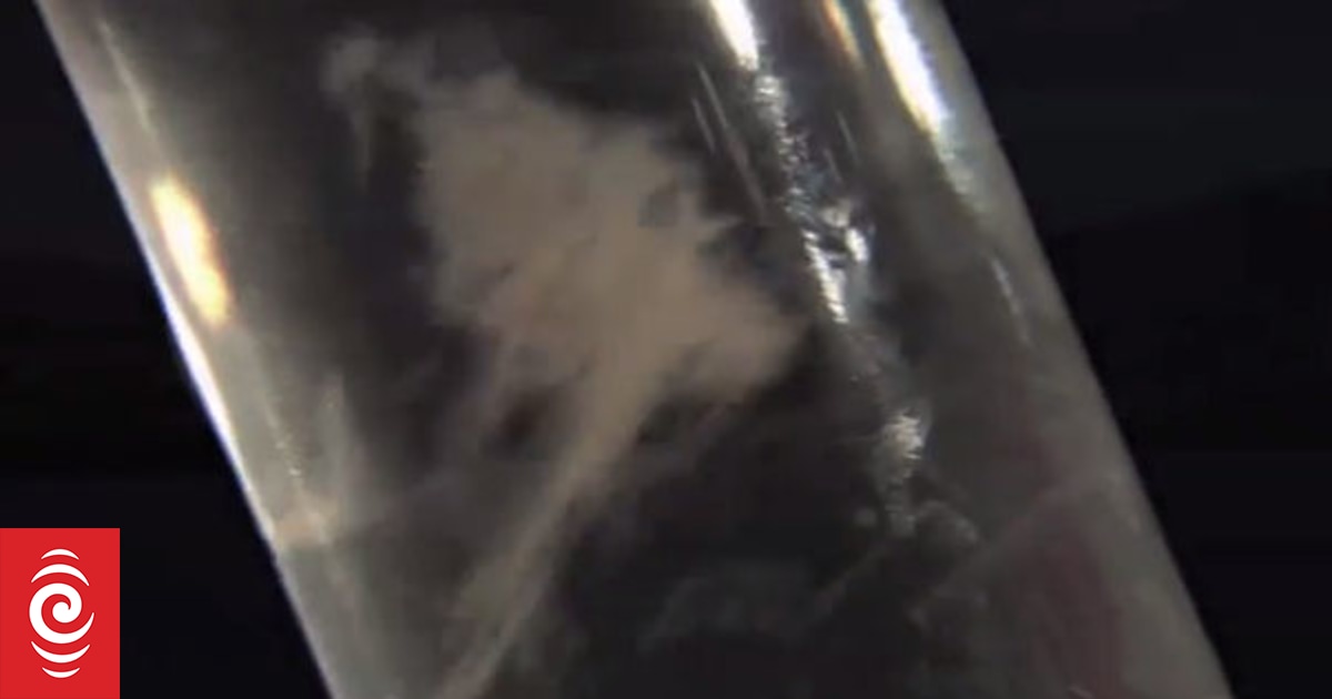 Lake snot detected in three South Island lakes | RNZ News