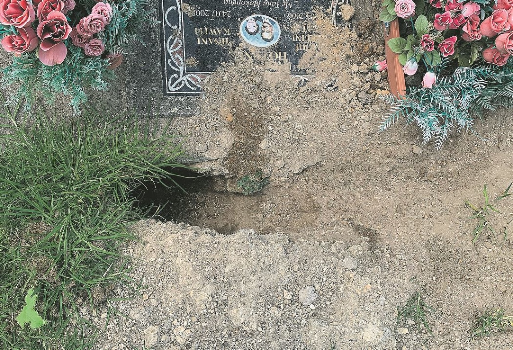 'It's not on': Questions asked over rabbit damage to graves | RNZ News