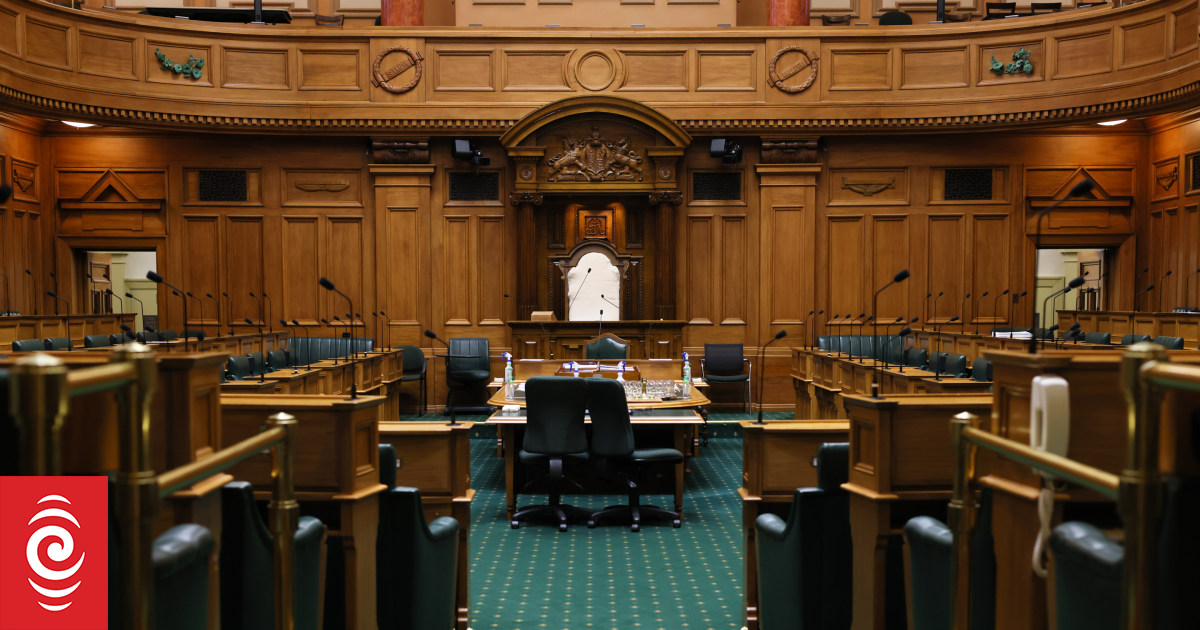 Politicians back calls for mental health supports at Parliament | RNZ News