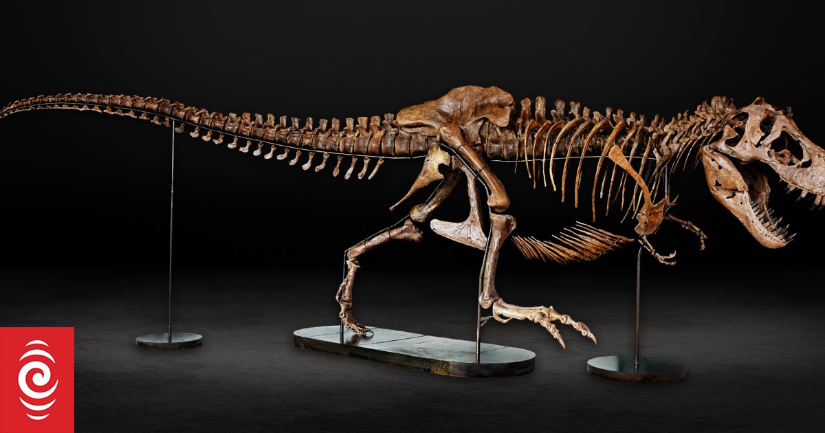 Our Changing World – Meet Barbara and Peter | RNZ