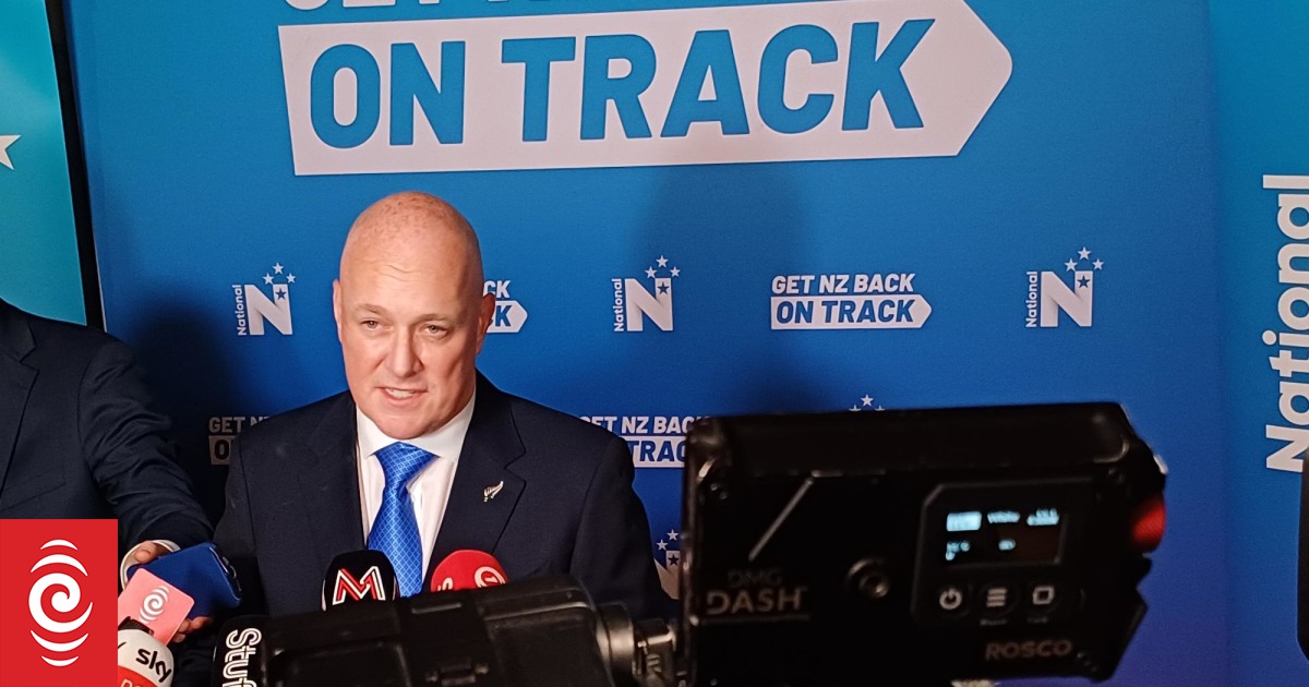 Political commentators Neale Jones, Tim Hurdle | RNZ