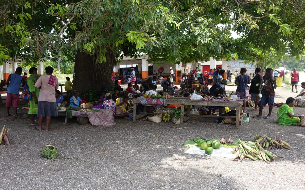 Vanuatu govt partners with Tanna potato farmers | RNZ News