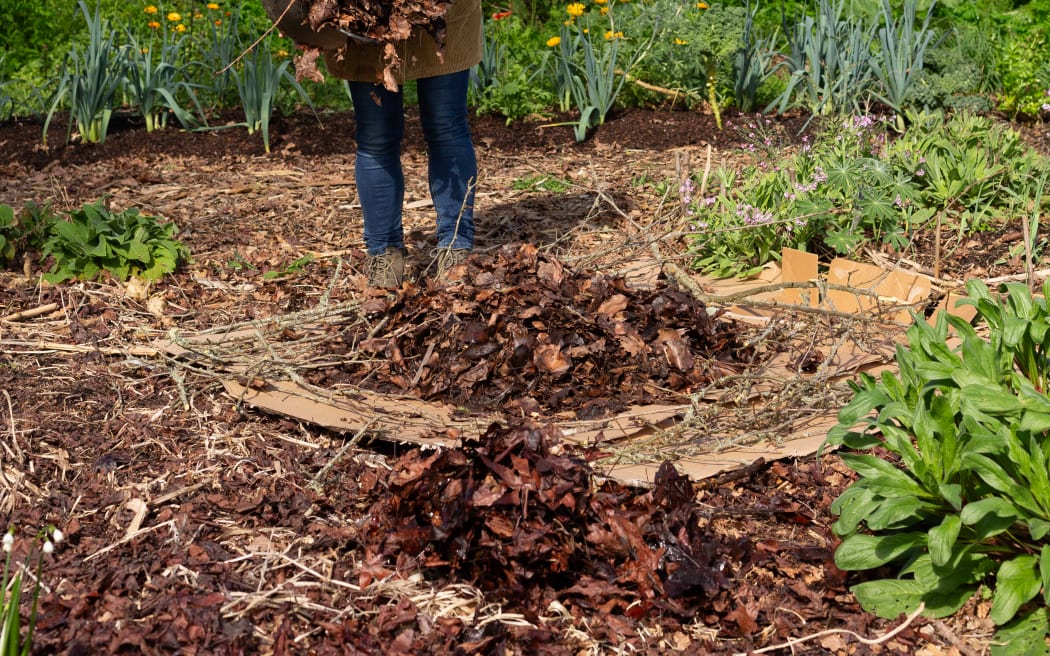Weekend Stuff: Autumn to-do list with Lynda Hallinan | RNZ