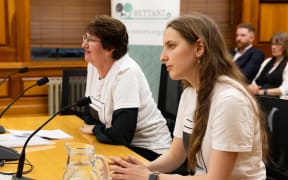 Force business to take action against slavery, MPs told | RNZ News