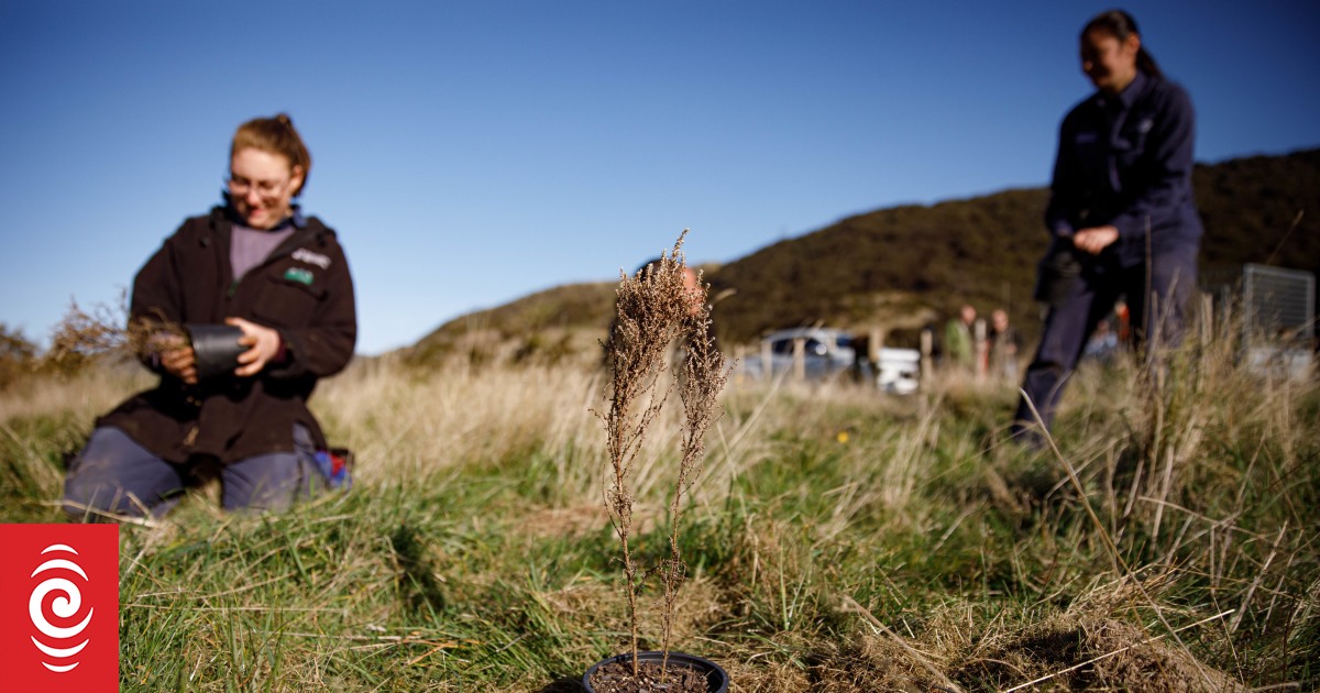 Jobs for Nature workers hope programme will carry on despite funding ...