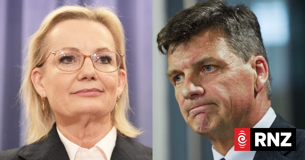 Angus Taylor becomes new leader of Australia's Liberal Party | RNZ News