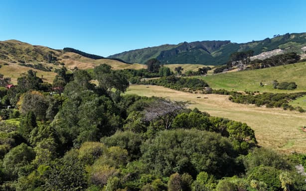 Pilot, passenger killed in Paekākāriki Hill helicopter crash were pest ...