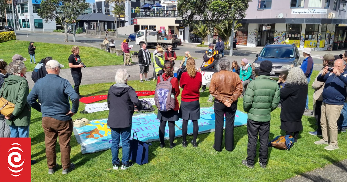 School Strike 4 Climate protests expected in several cities | RNZ News
