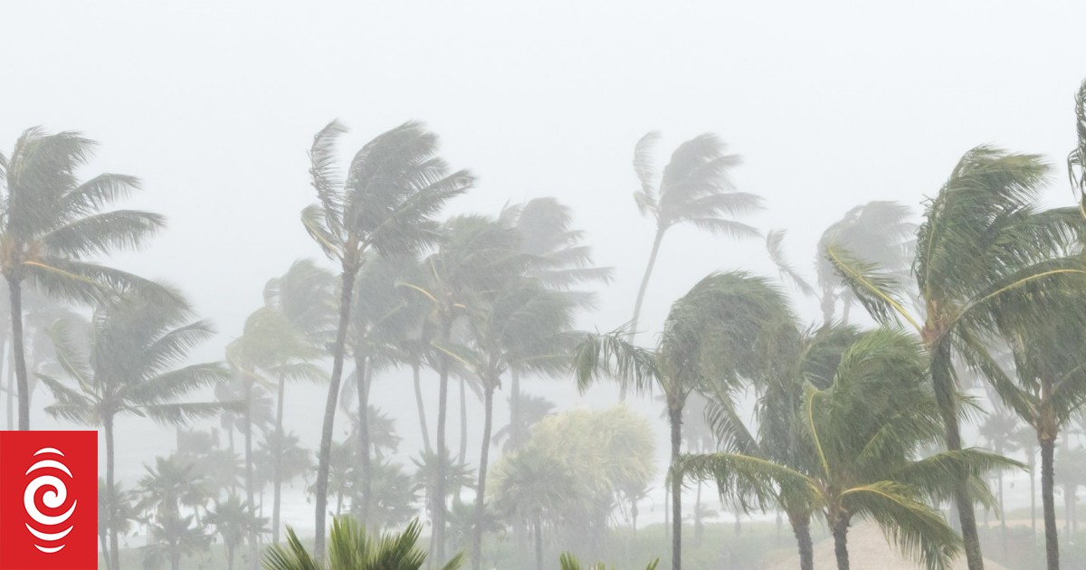 Tropical cyclone Judy strengthens to category two in Pacific | RNZ News