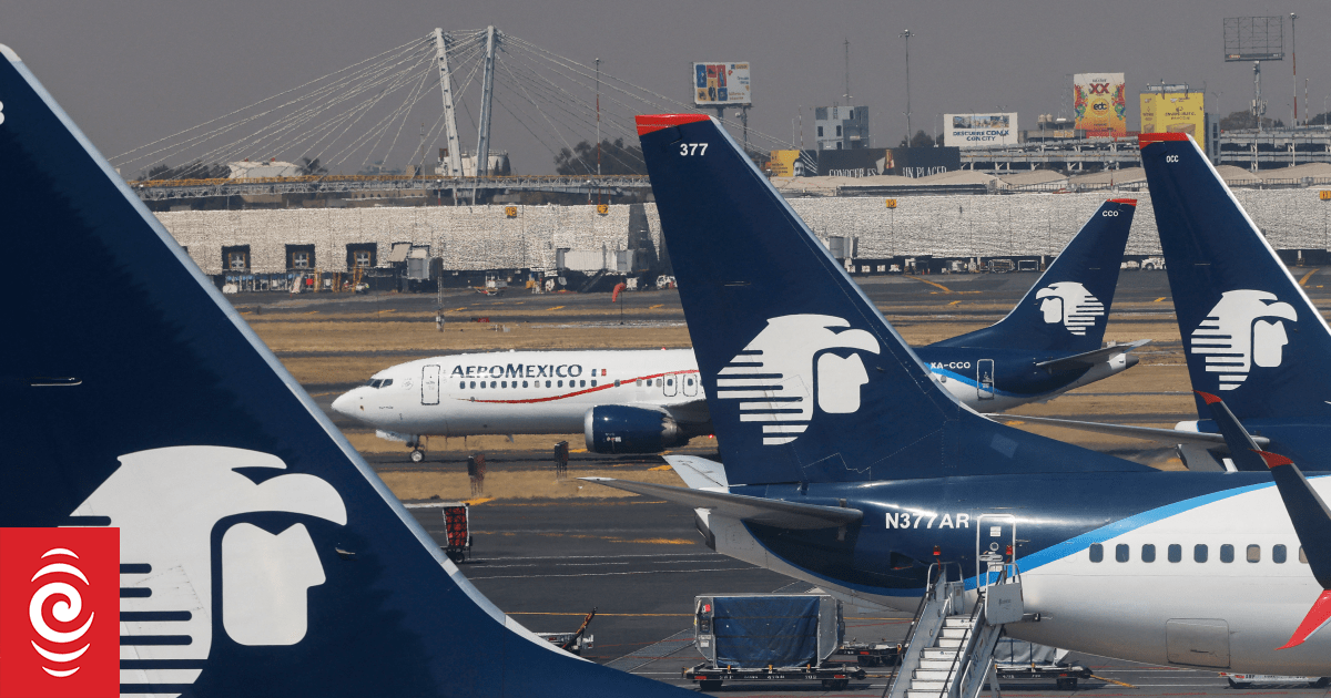 The world’s most punctual airlines for 2024 | RNZ News