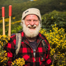 Gorse for the trees: How one man brought back a forest | RNZ