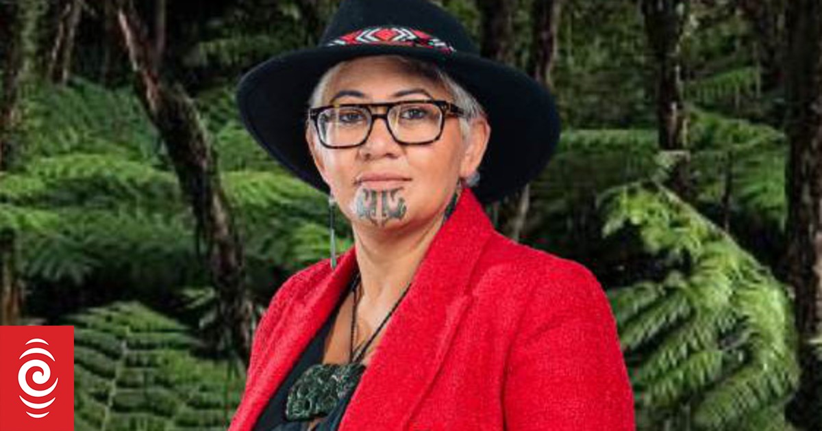 Friends and colleagues remember Takutai Tarsh Kemp | RNZ News