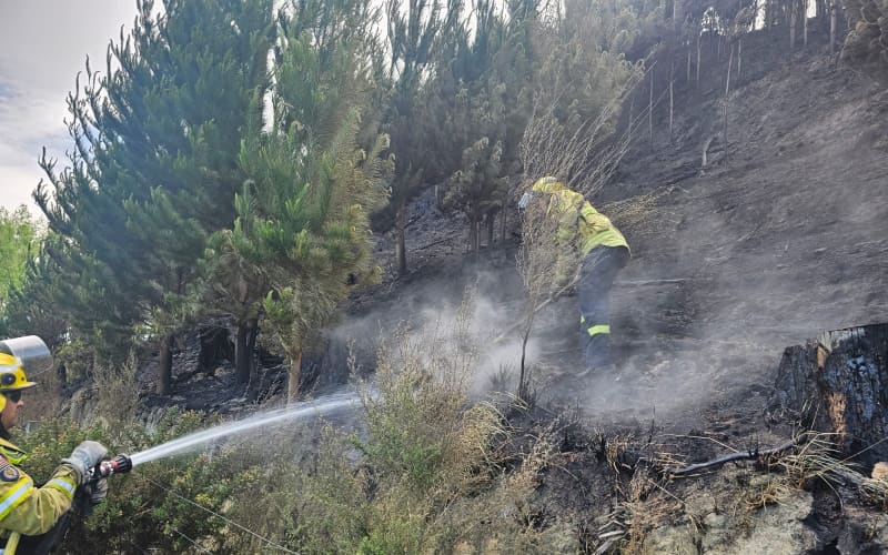 More total fire bans take effect in Hawke's Bay | RNZ