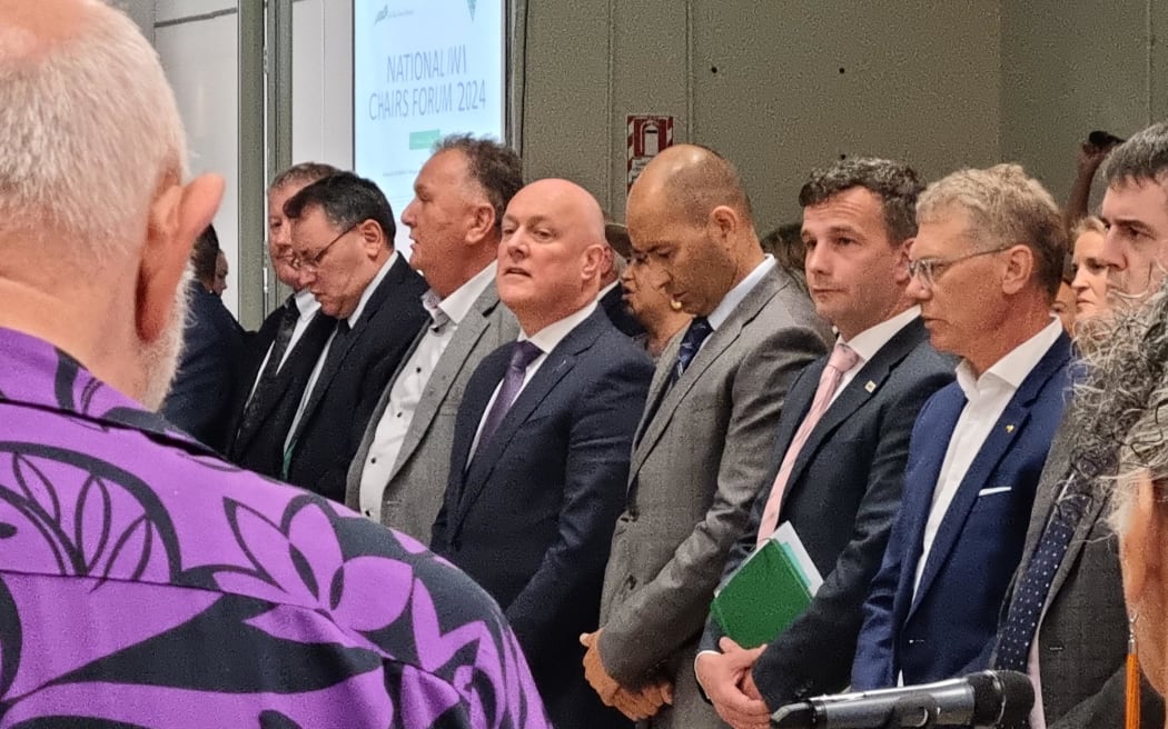 Christopher Luxon says meeting with iwi leaders positive, insists on ...