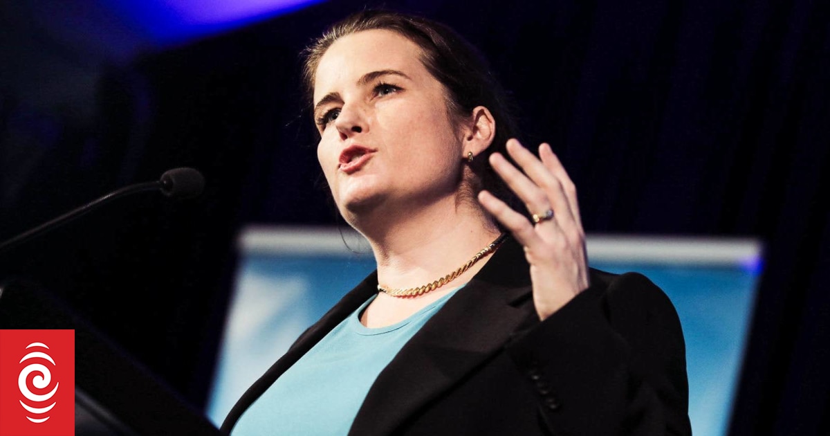 Nicola Willis gives pre-budget speech to business leaders | RNZ News