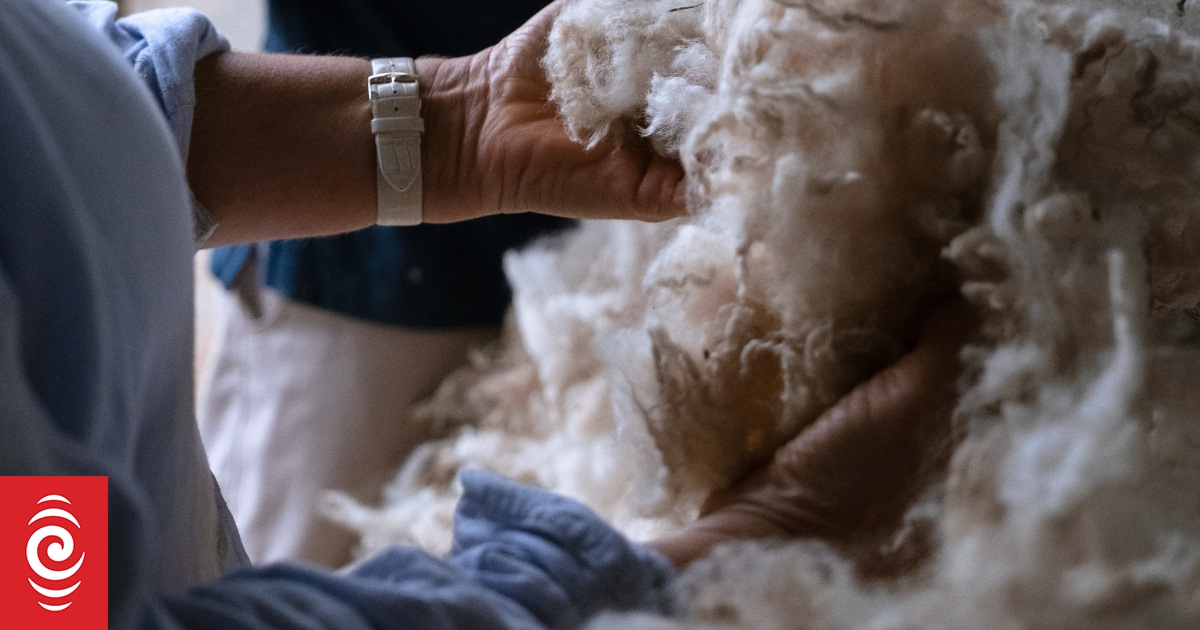 Wool classing tutors sought after the retirement of two greats | RNZ