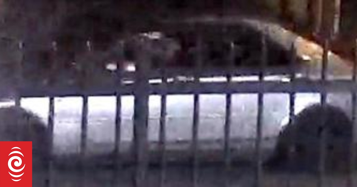 Lois Tolley killing: Police seek two cars, four suspects | RNZ News