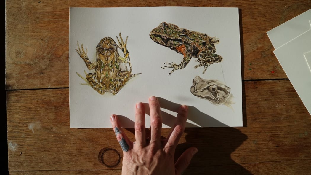 Artist Erin Forsyth wants you to care | RNZ News