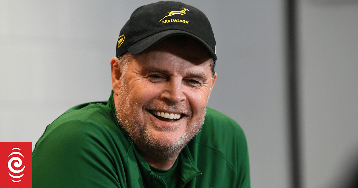 Springboks 'fully aware of the magnitude of the task ahead' as they ...