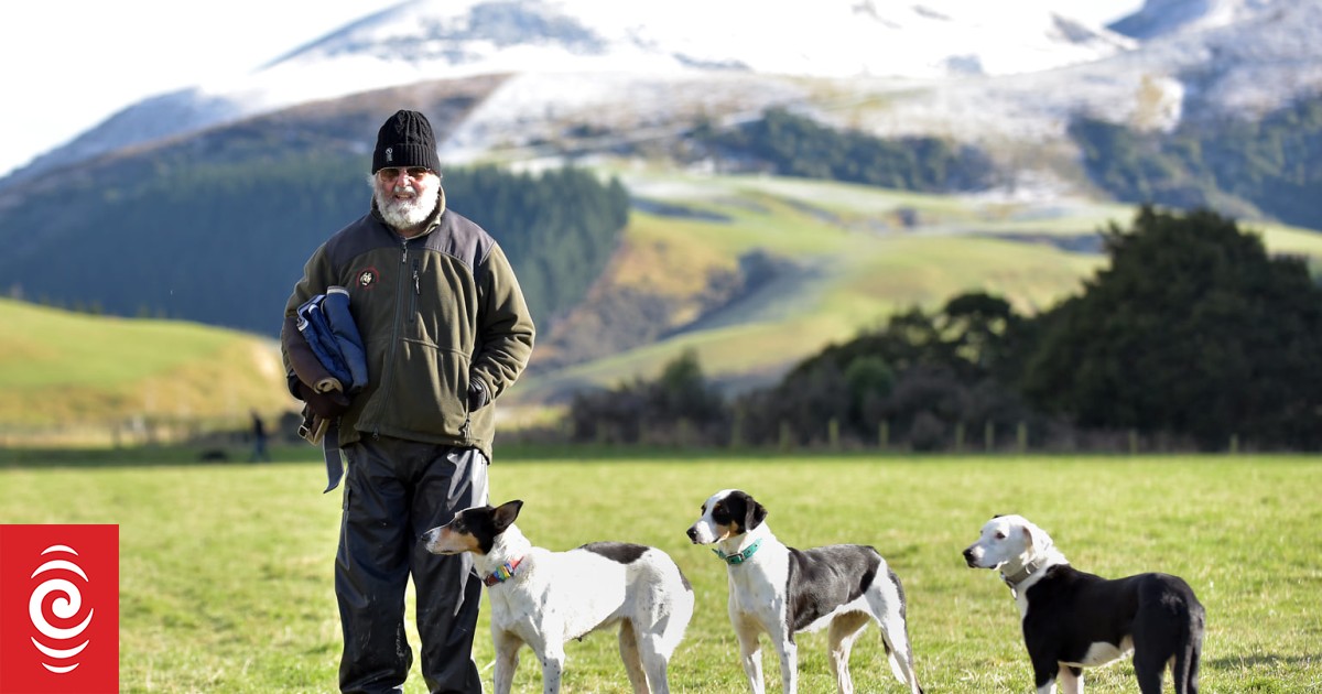 Weather adds to trial and tribulations at sheep dog comp | RNZ News