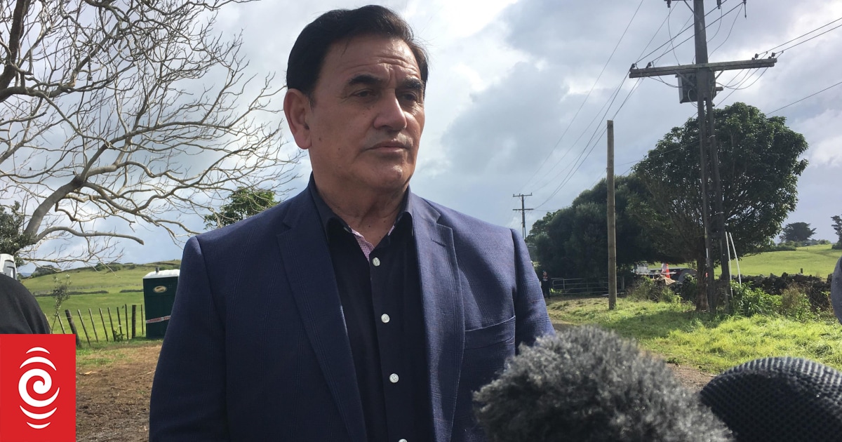 Police will reduce presence at Ihumātao protest - Wally Haumaha | RNZ News
