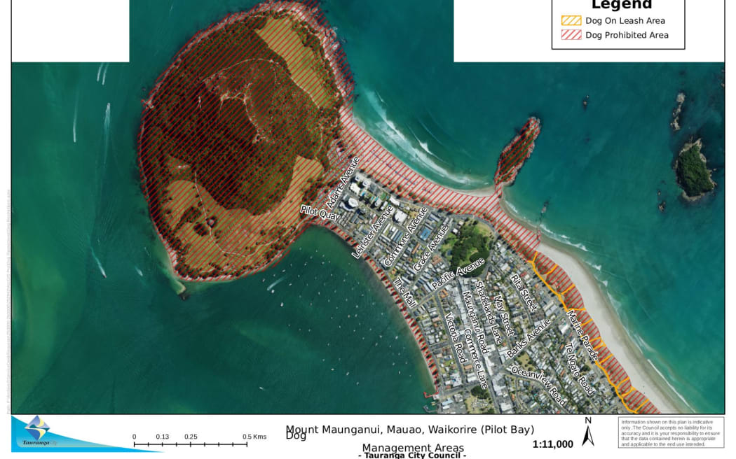 Tauranga's proposed new animal rules: Tougher dog limits, new chook ...
