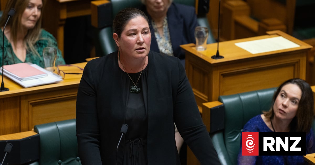 Labour criticise government changes to Temporary Additional Support | RNZ