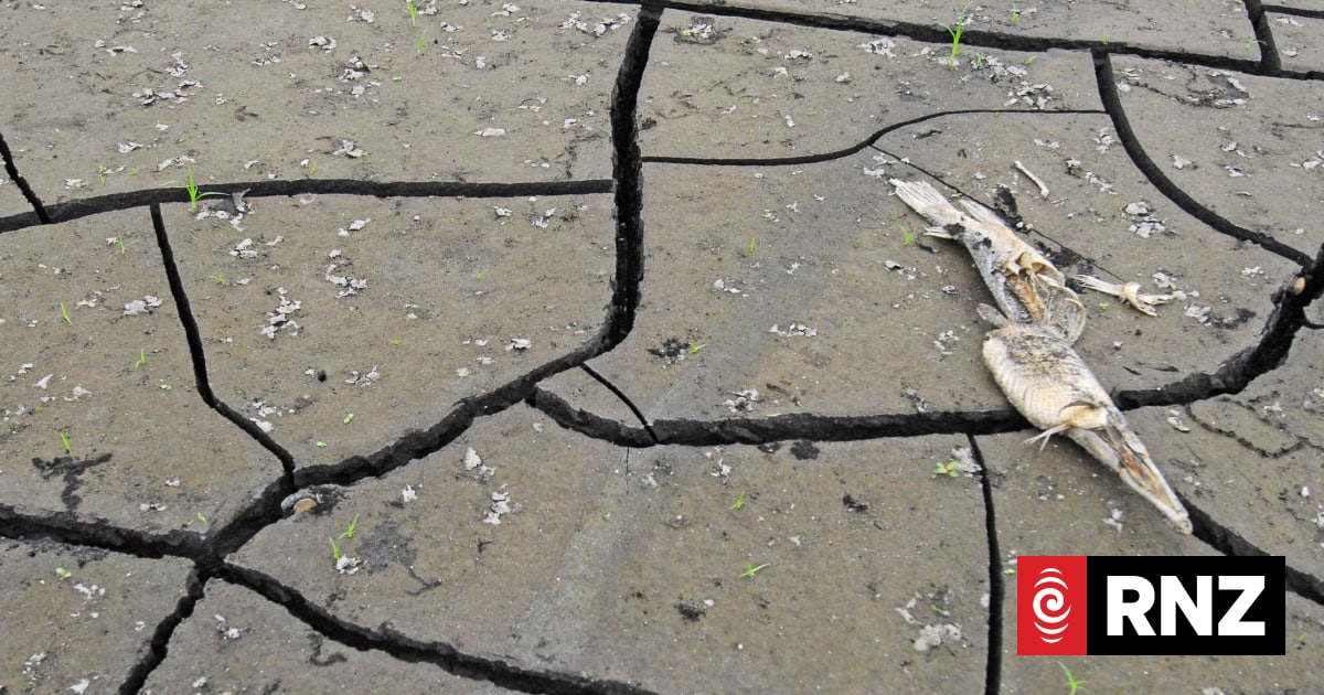 Lake Opuha could run dry in a month | RNZ