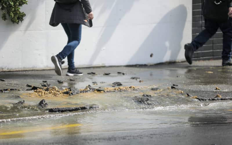 Wellington Water report reveals alleged theft, structural and ...