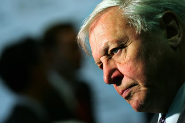 As David Attenborough turns 100, four experts explore his legacy, from ...