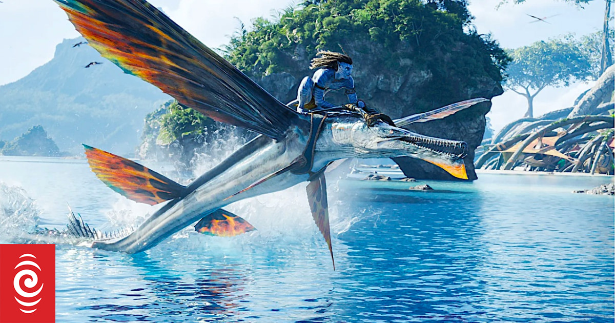 Avatar films generate dozens of new jobs for Wellington | RNZ News