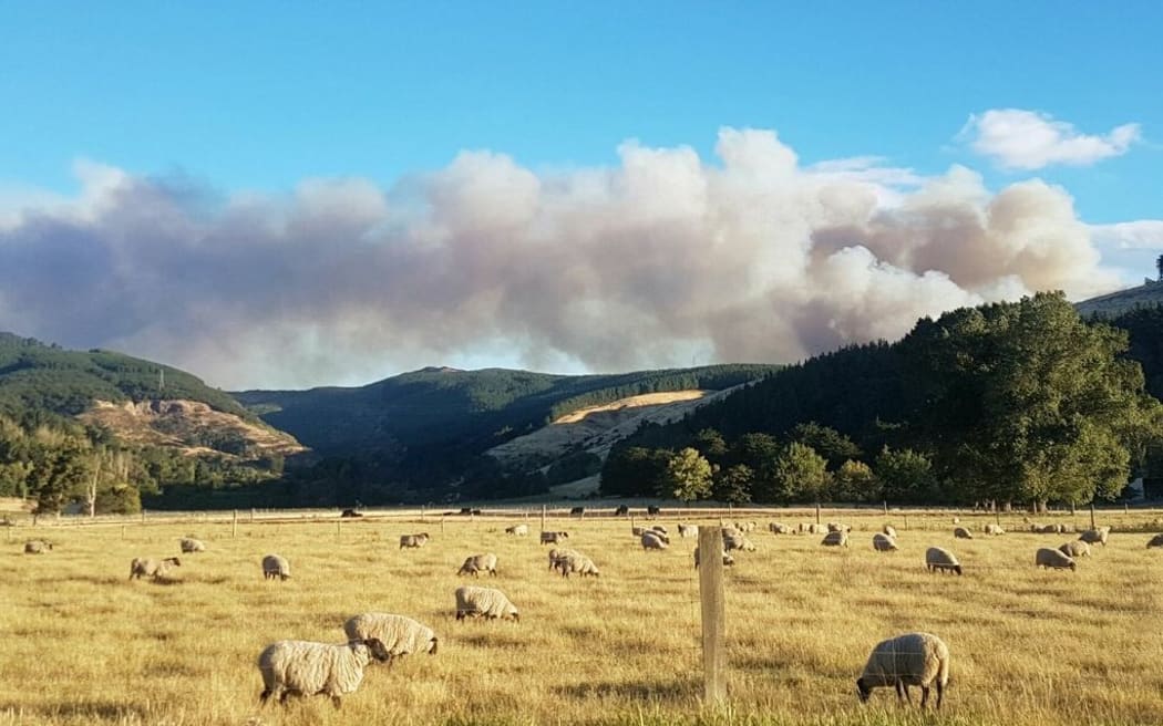 Crews battle Port Hills scrub fires | RNZ News