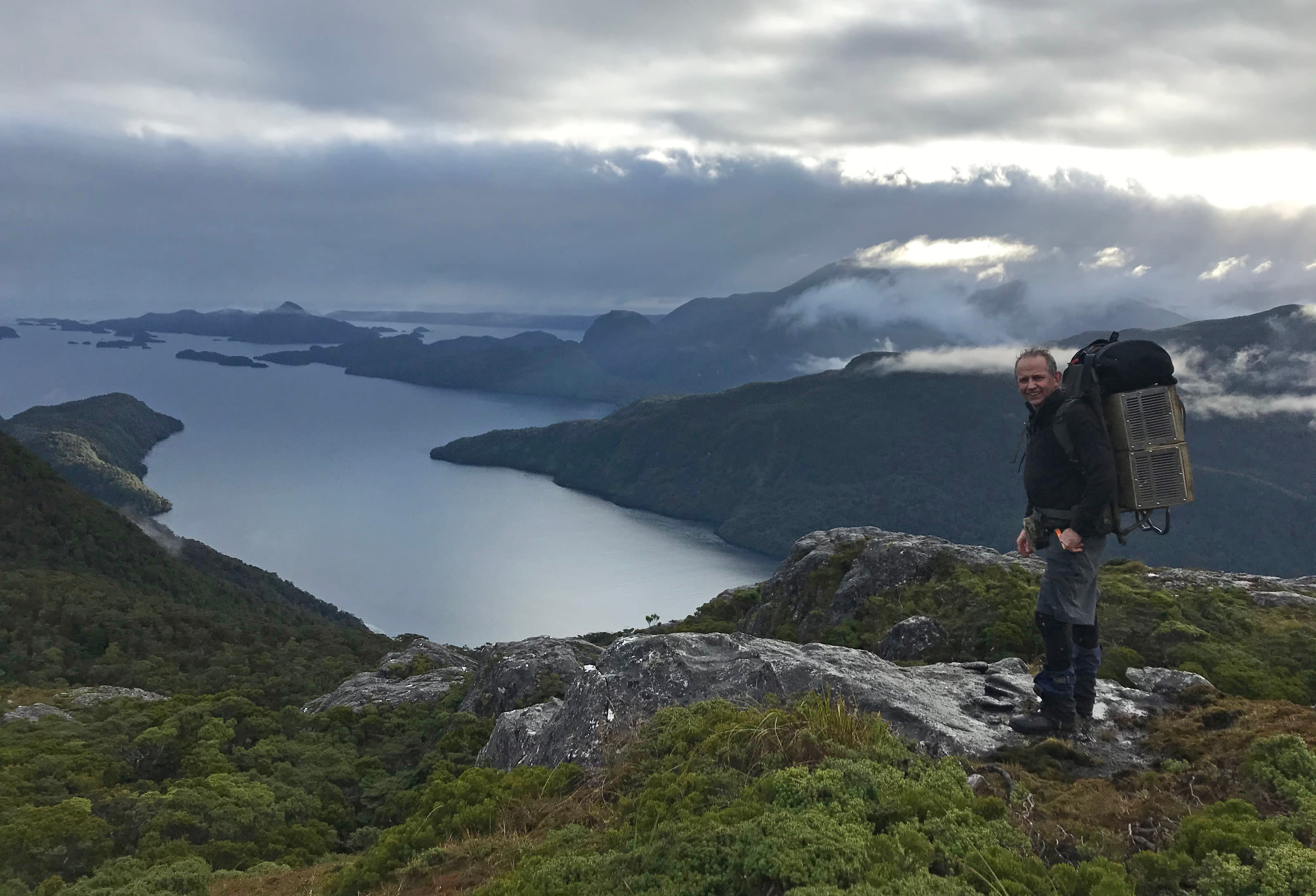 Bushline by Robbie Burton | A Gallery from Saturday Morning | RNZ National
