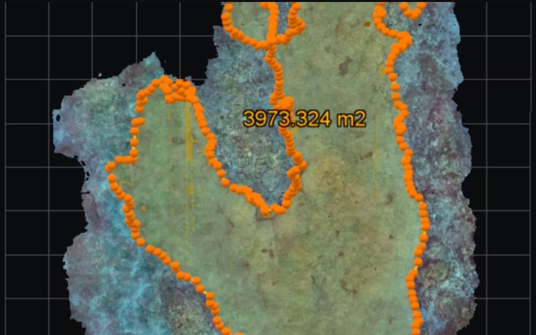 Coral colony discovered by mother and daughter citizen scientists could ...