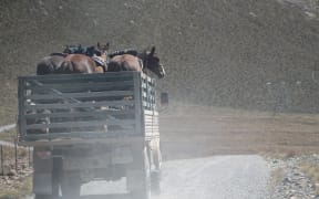 Country Life for Friday 5 February 2021 Country Life | RNZ