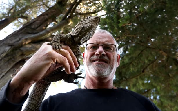 Henry the tuatara's handler of 52 years retires | RNZ