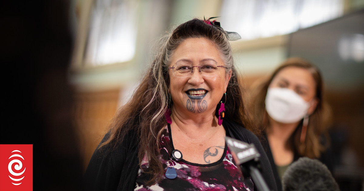 The Panel with David Cormack and Heather Roy (Part 2) | RNZ